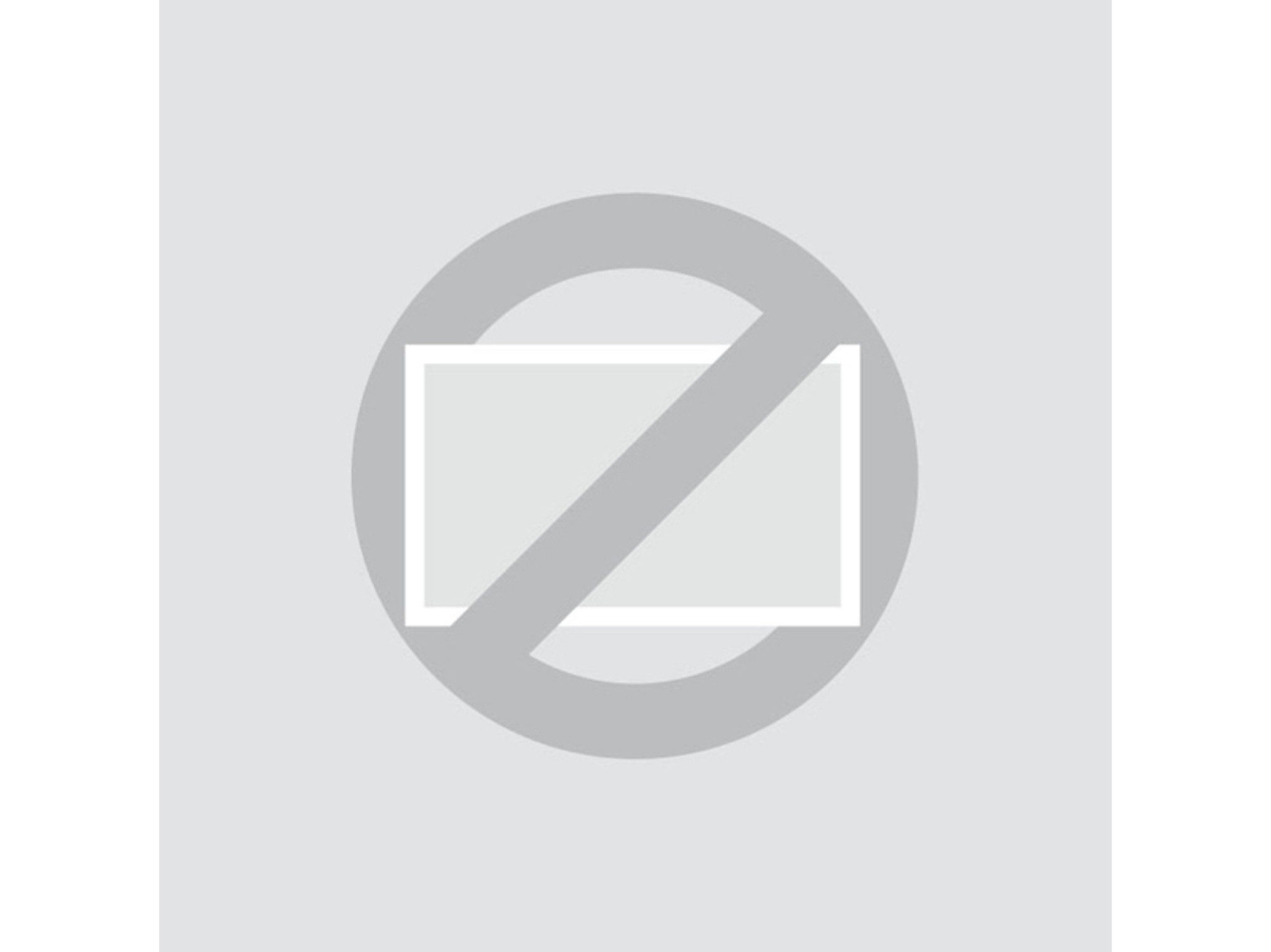 Moniteur 10 pouces 4:3 | Beetronics